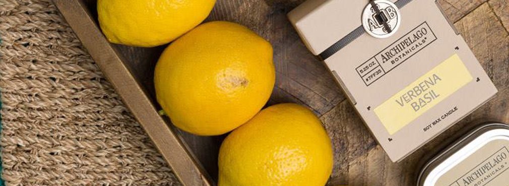 All Archipelago Products | Candle Delirium