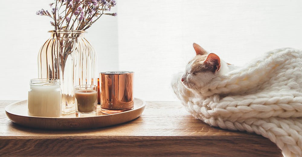 Fall/Autumn Candles & Scents | Candle Delirium