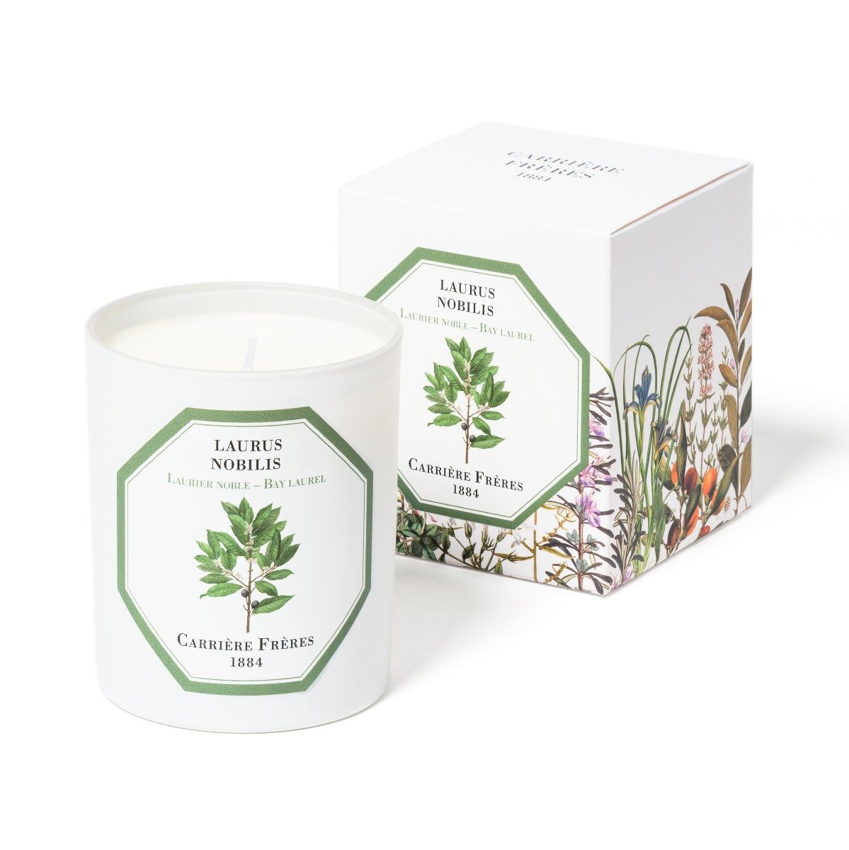 Carriere Freres - Bay Laurel (Laurus Nobilis) Candle | Candle Delirium